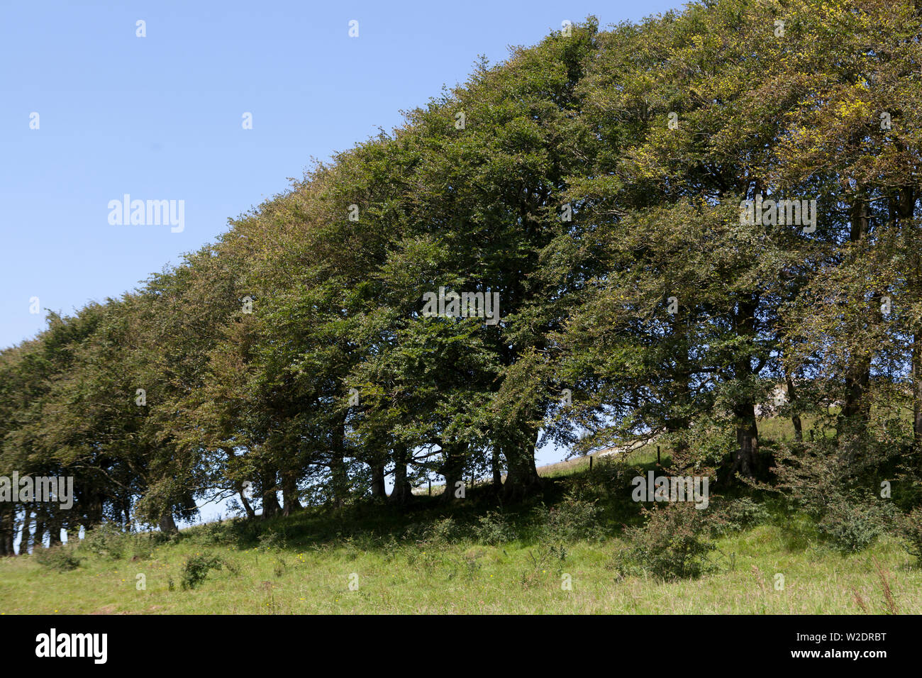 Draycott hi-res stock photography and images - Alamy