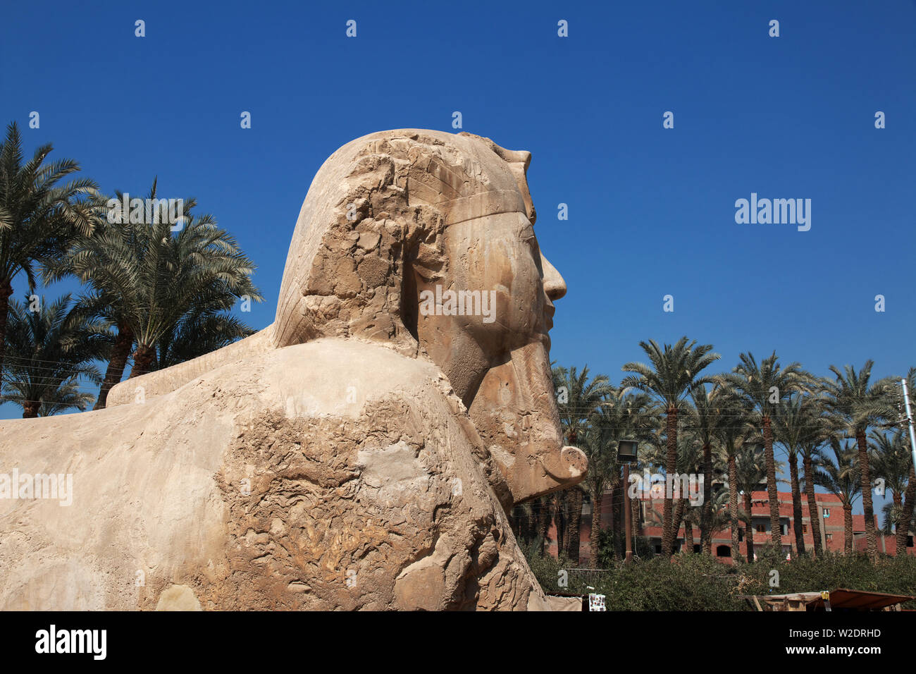 Memphis is the ancient capital of Egypt Stock Photo - Alamy