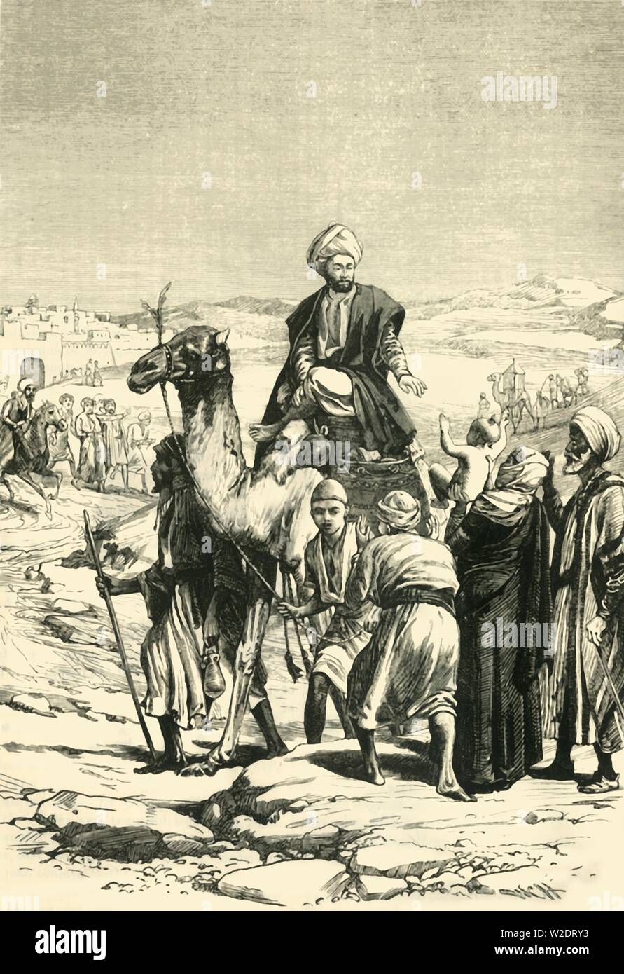 Migrating Camel High Resolution Stock Photography and Images - Alamy