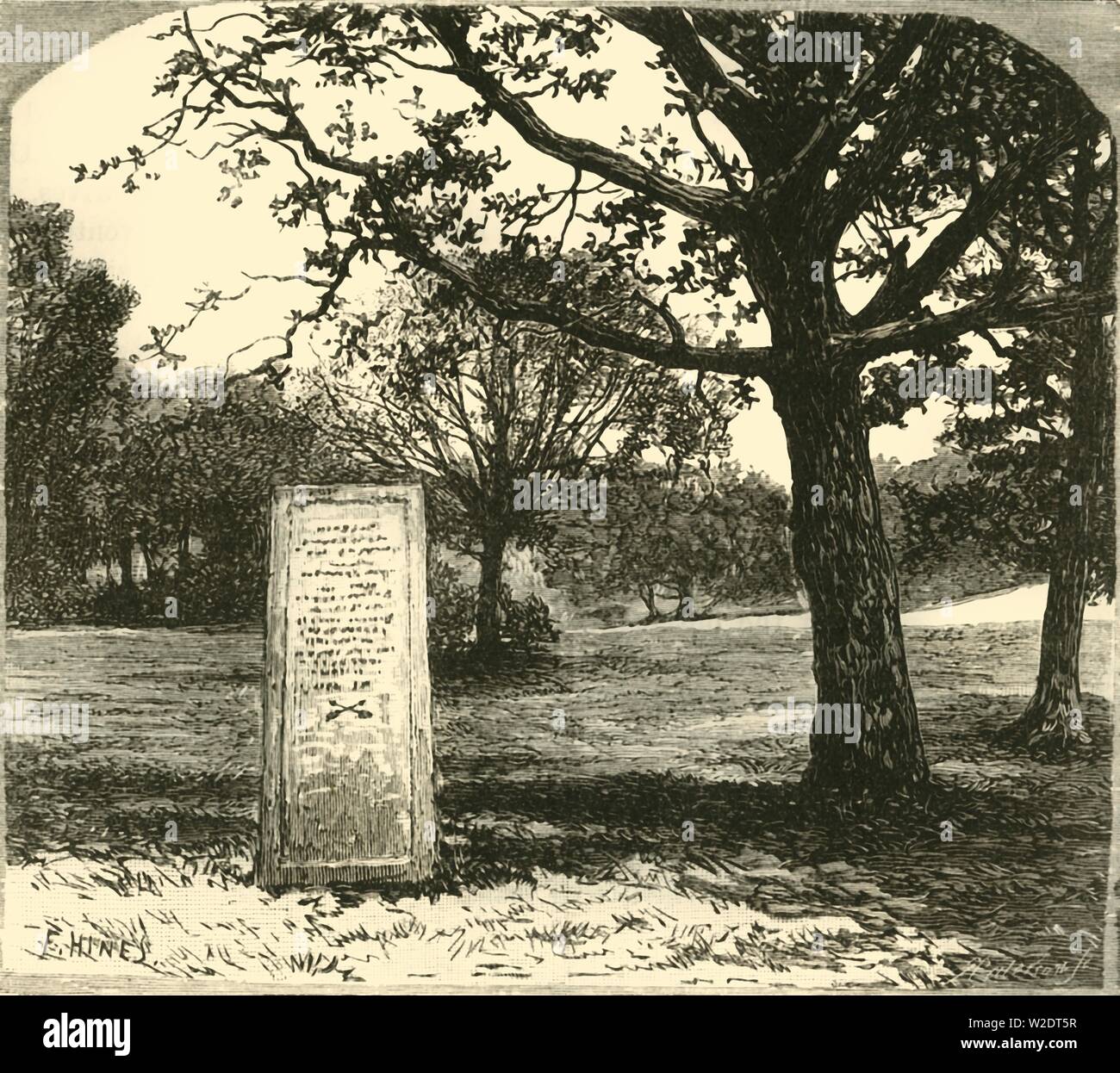 'The Rufus Stone in the New Forest', 1890. Creator: Unknown Stock Photo ...
