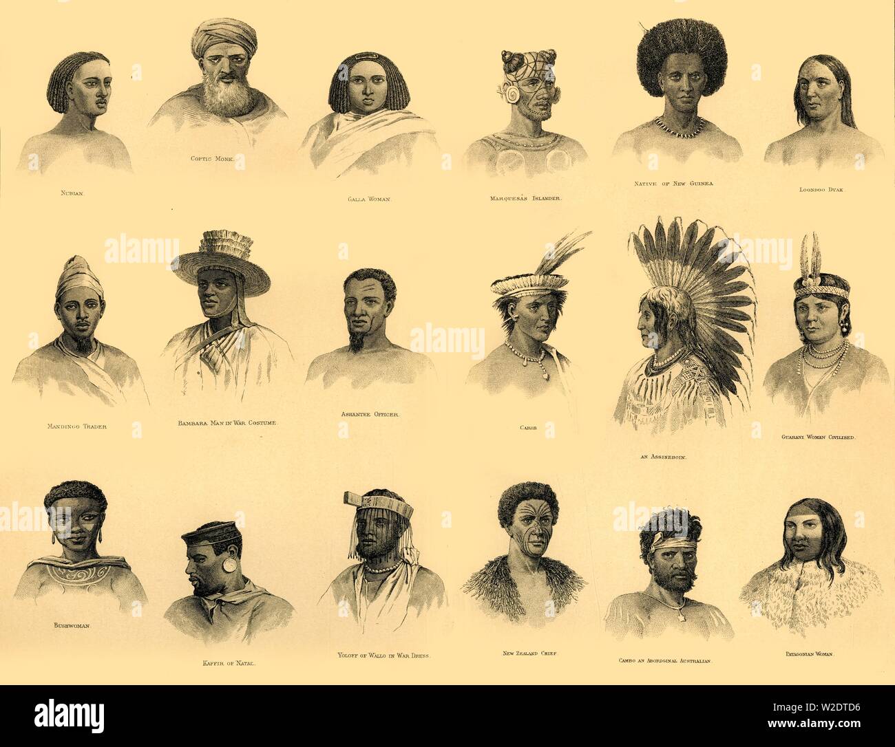 'Ethnology', c1910. Creator: Unknown Stock Photo - Alamy