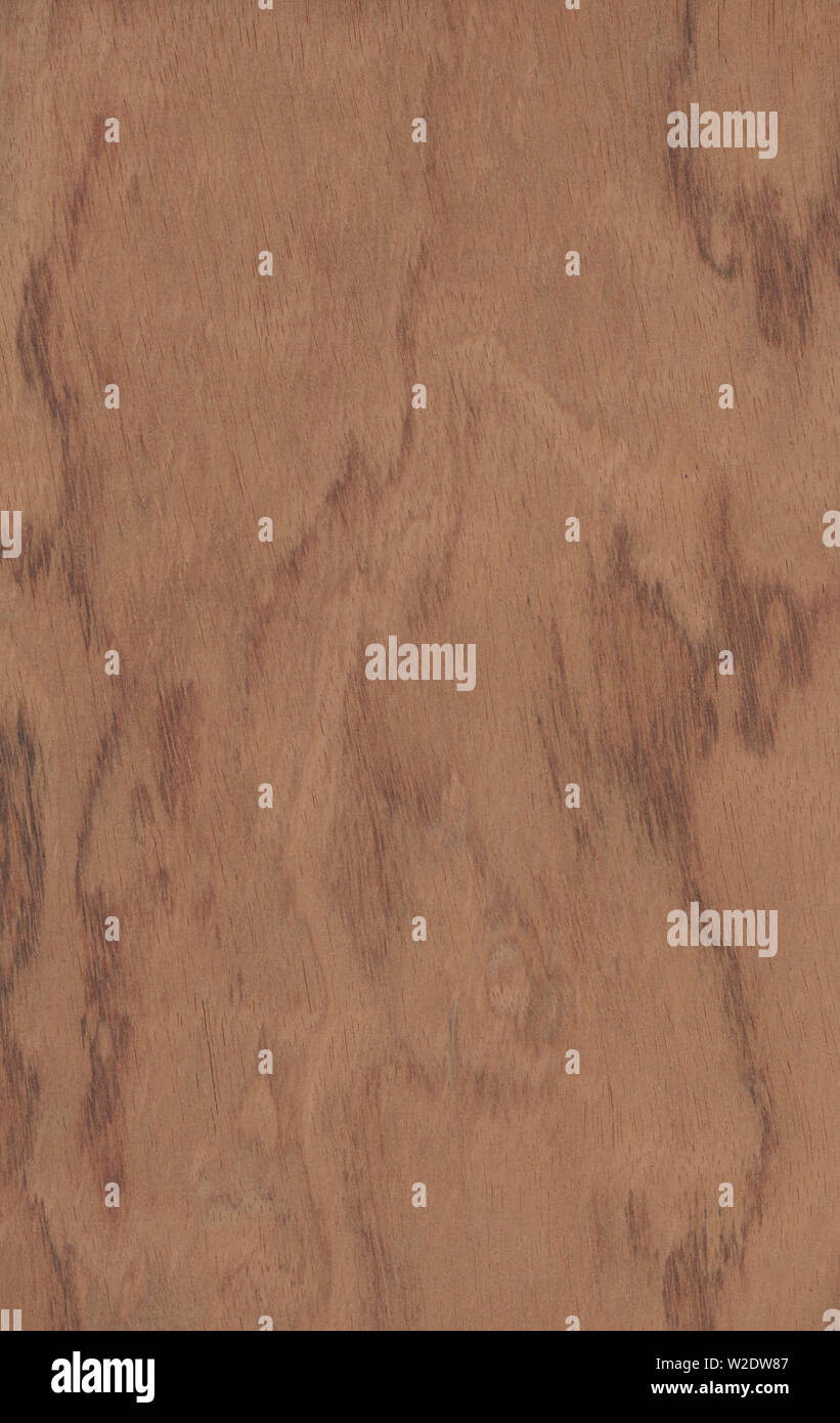 Scan of a wood veneer rose background Stock Photo - Alamy