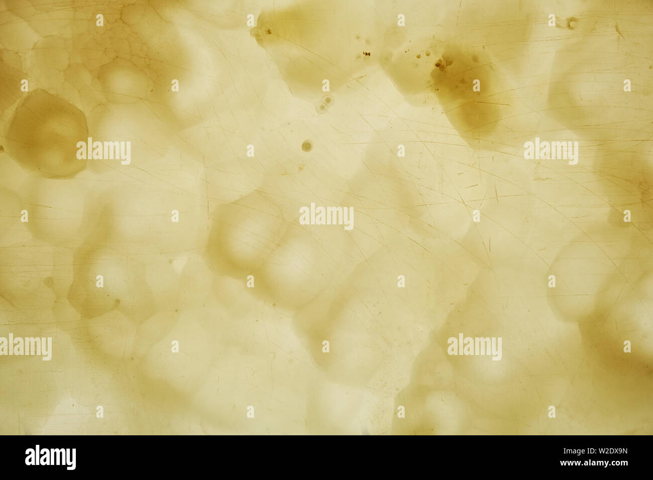 Onyx wall background. Texture of honey color onyx material Stock Photo ...