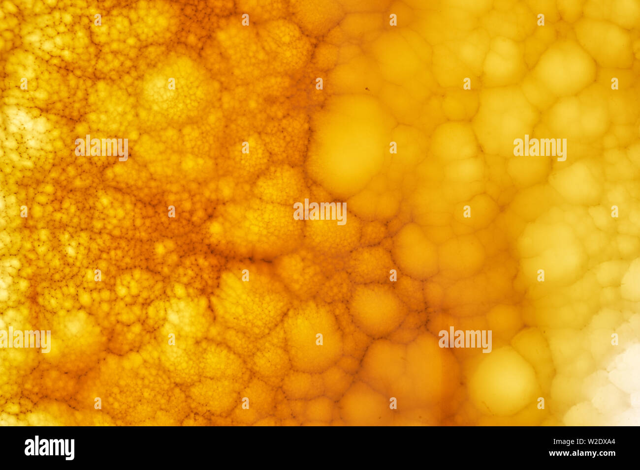 Onyx wall background. Texture of honey color onyx material Stock Photo ...