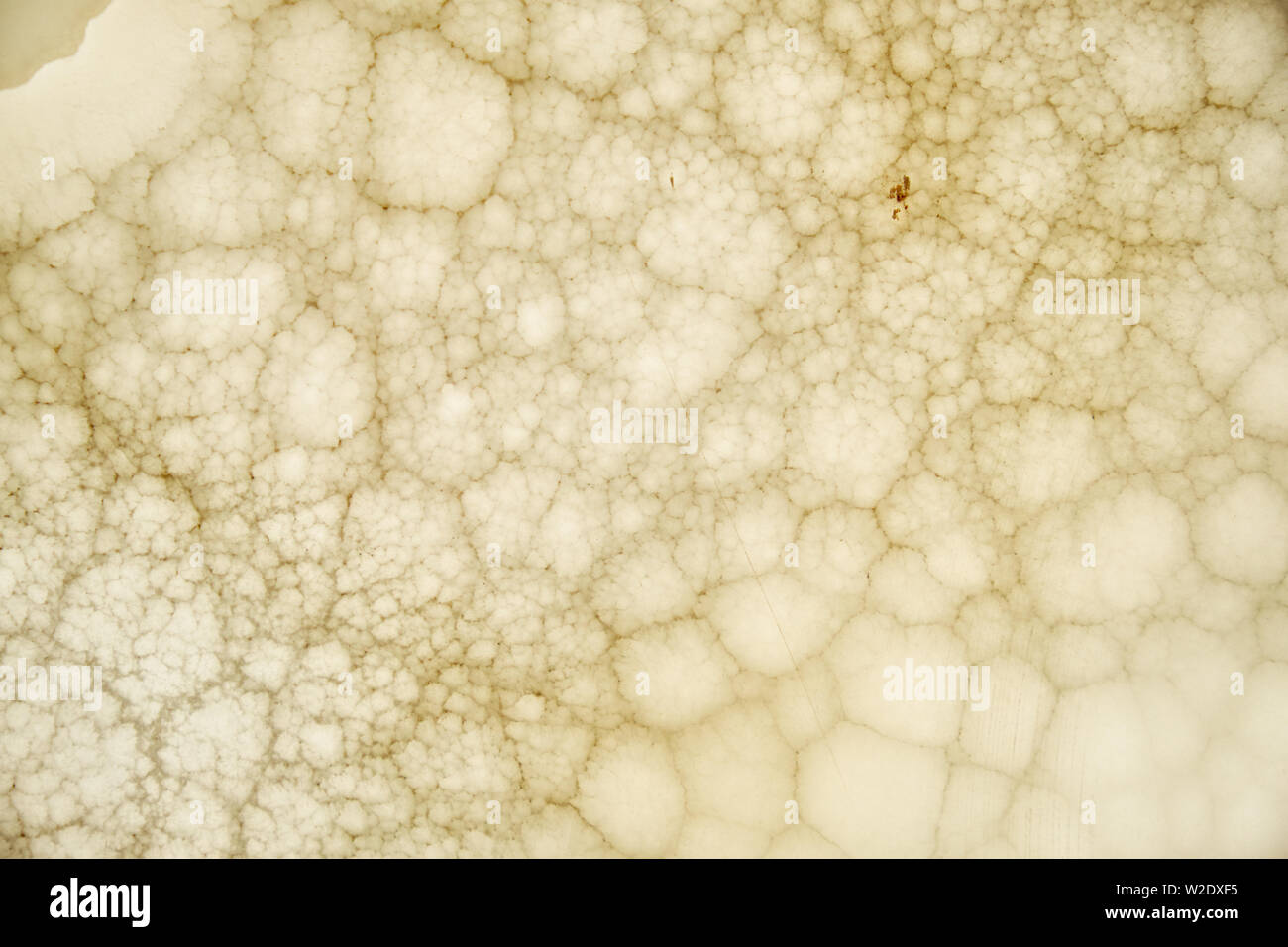 Onyx wall background. Texture of honey color onyx material Stock Photo ... Onyx wall background. Texture of honey color onyx material Stock Photo ...