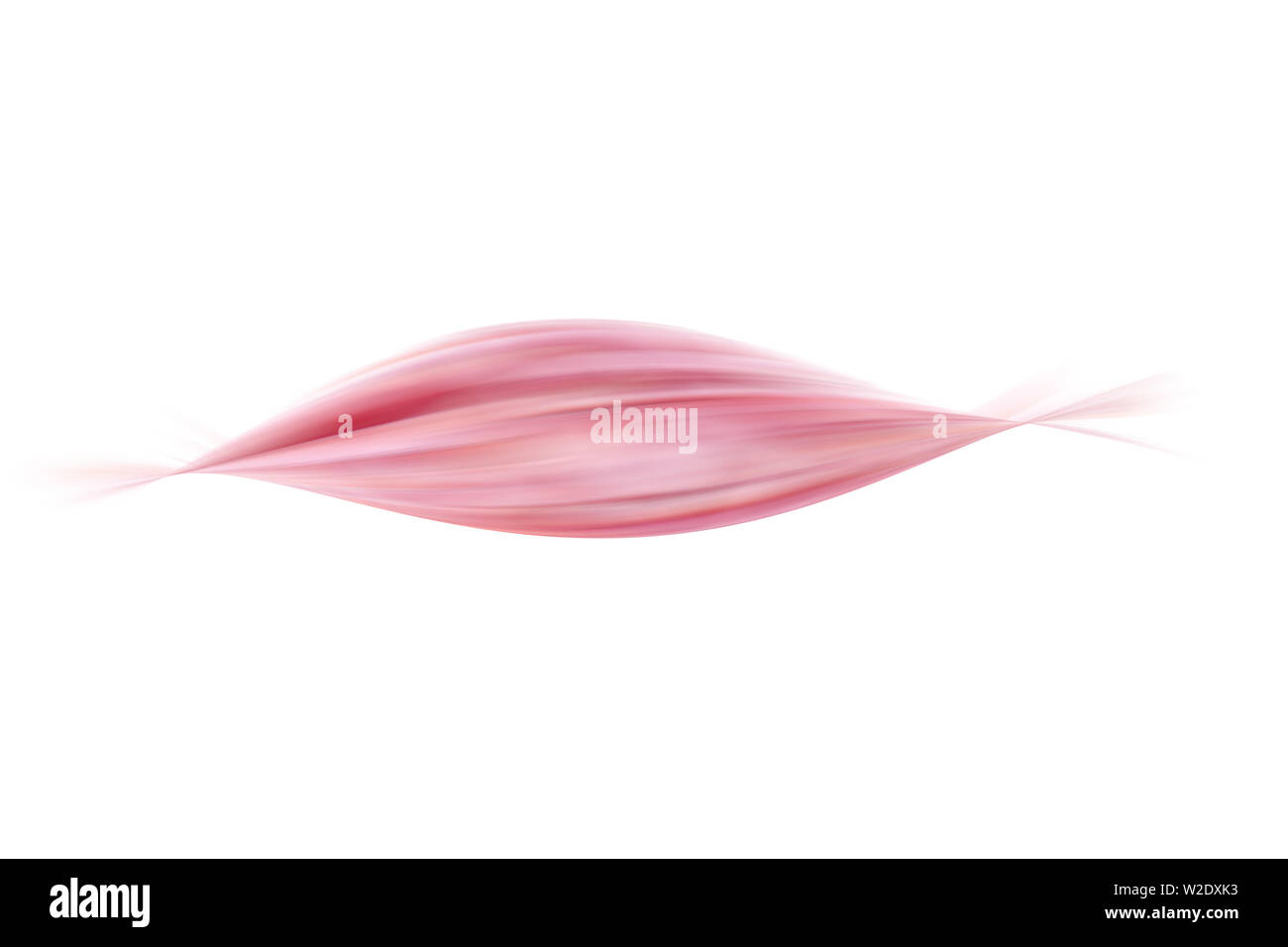 Abstract curved shape with shades of pink on a white background Stock ...