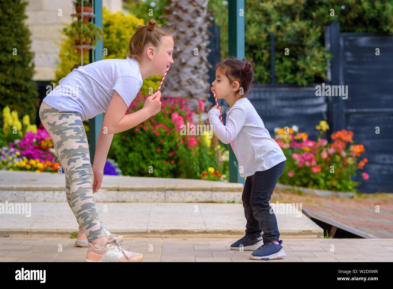 Two adorable girl having fun outdoor. Children have play with carnival ...