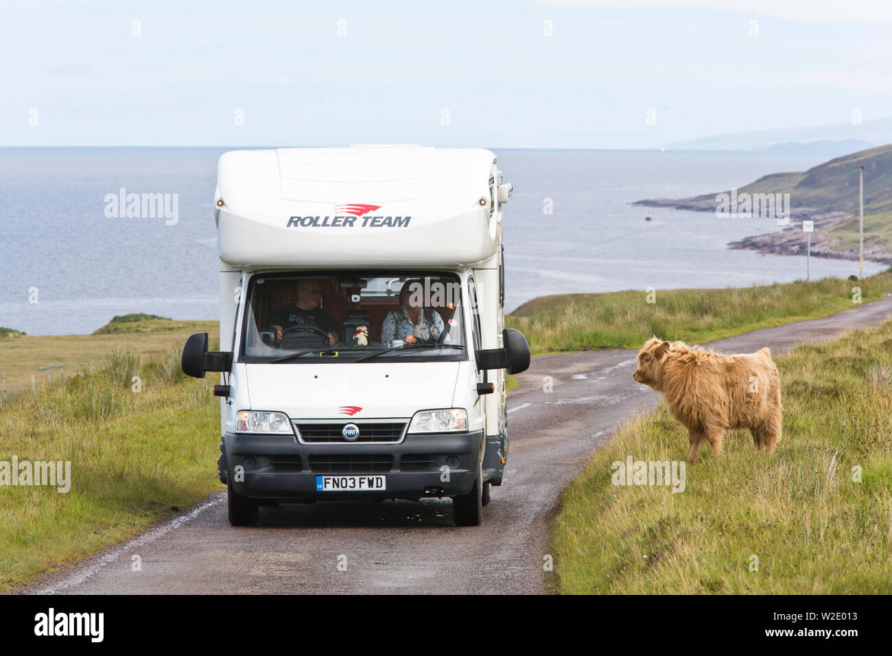 Highland cattle car hi-res stock photography and images - Alamy