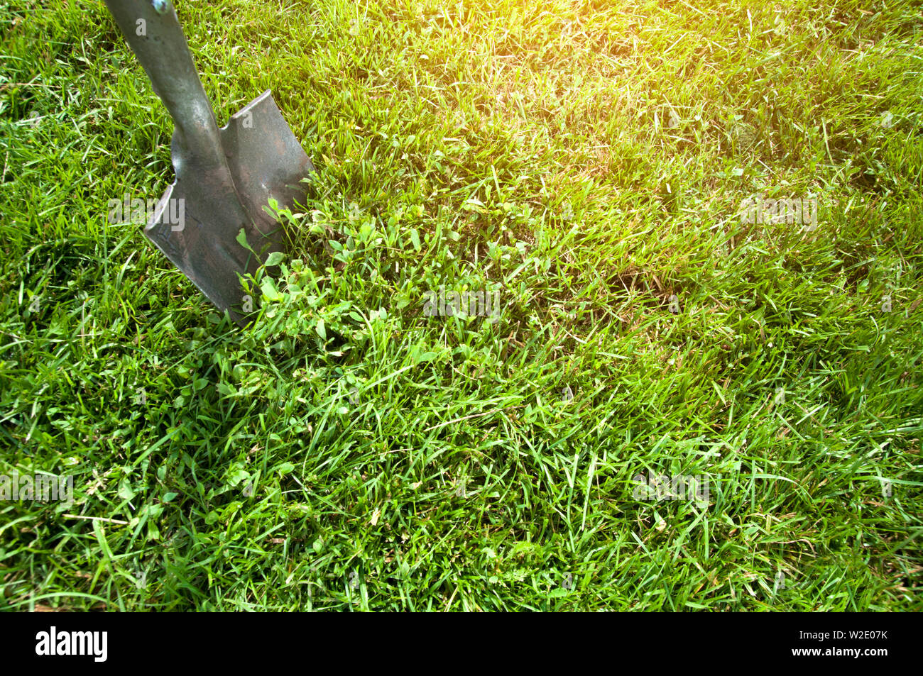 garden tools shovel stuck in the ground on the green grass with ...