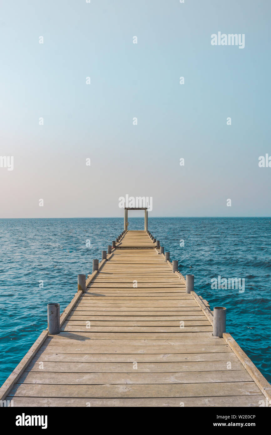 Tropical lovers hi-res stock photography and images - Alamy