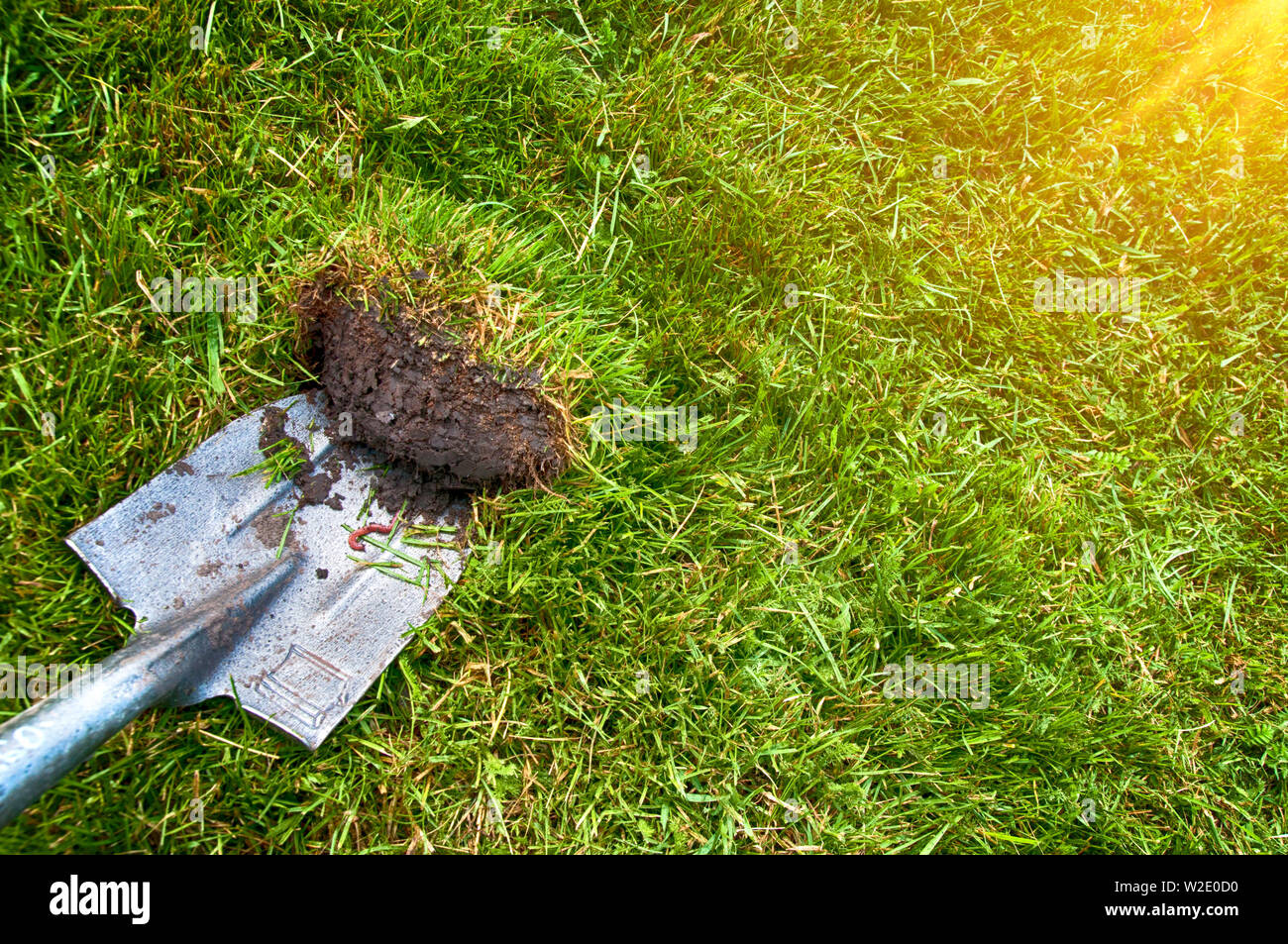 garden tools shovel stuck in the ground on the green grass with ...