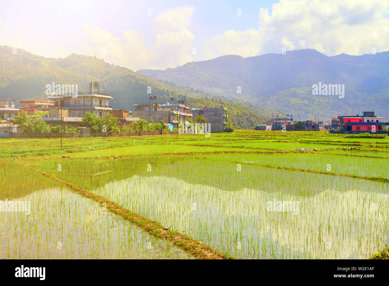 Fields in nepal hi-res stock photography and images - Alamy