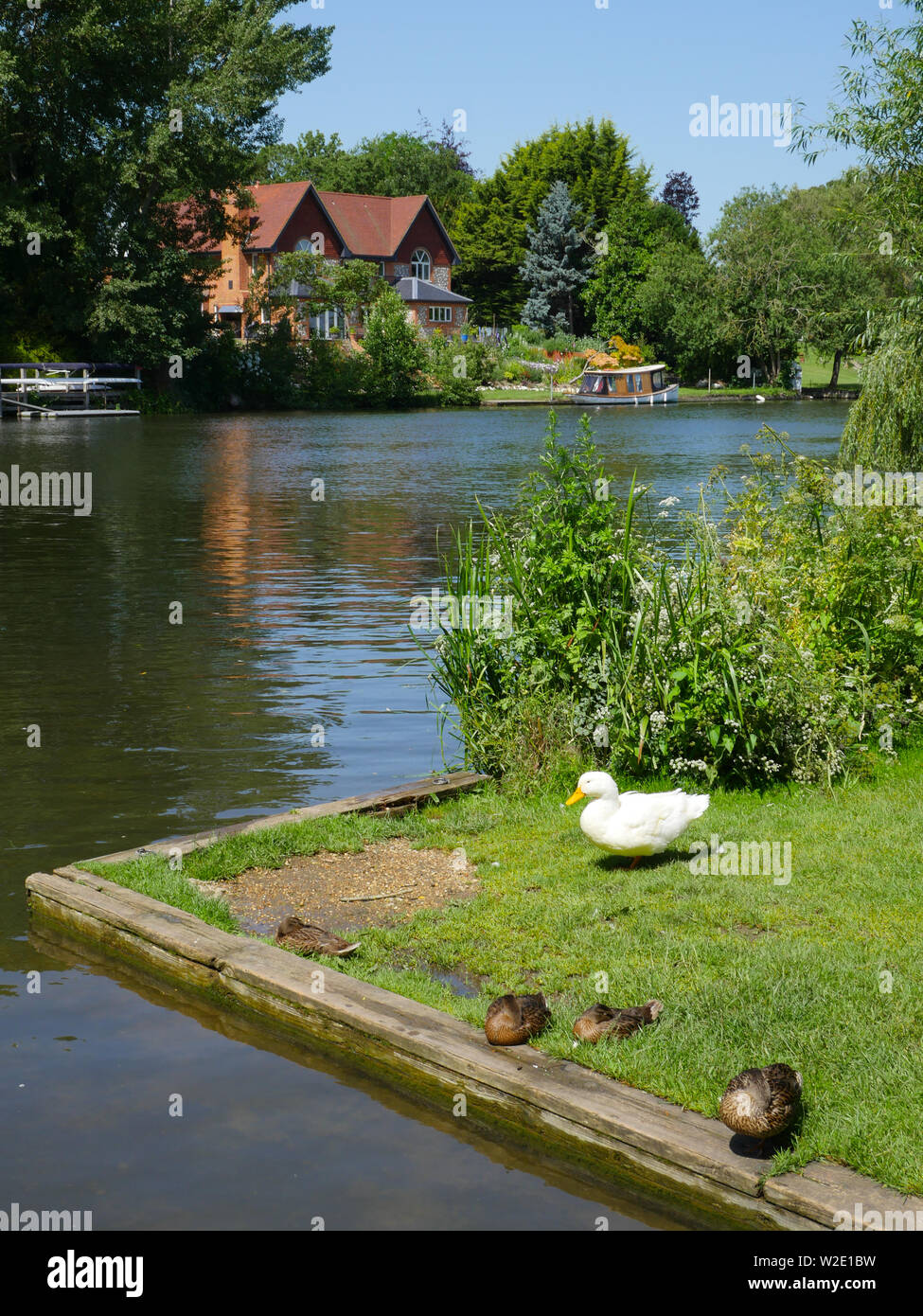 River Thames Landscape, at Ferry Lane, on The Ridgeway Path, South ...