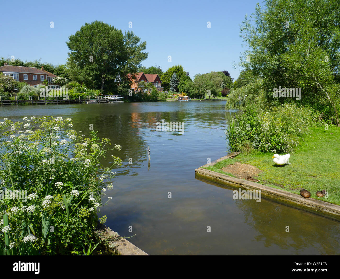 River Thames Landscape, at Ferry Lane, on The Ridgeway Path, South ...