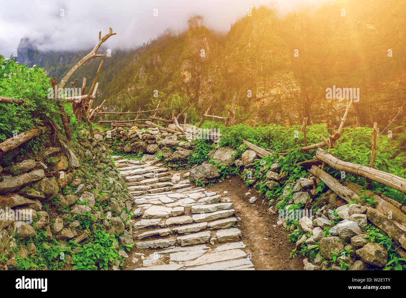 stone path in mountains under sunshine in Nepal, Annapurna trekking ...