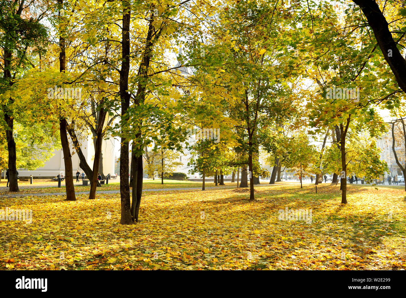 Colorful city park scene in the fall with orange and yellow foliage ...