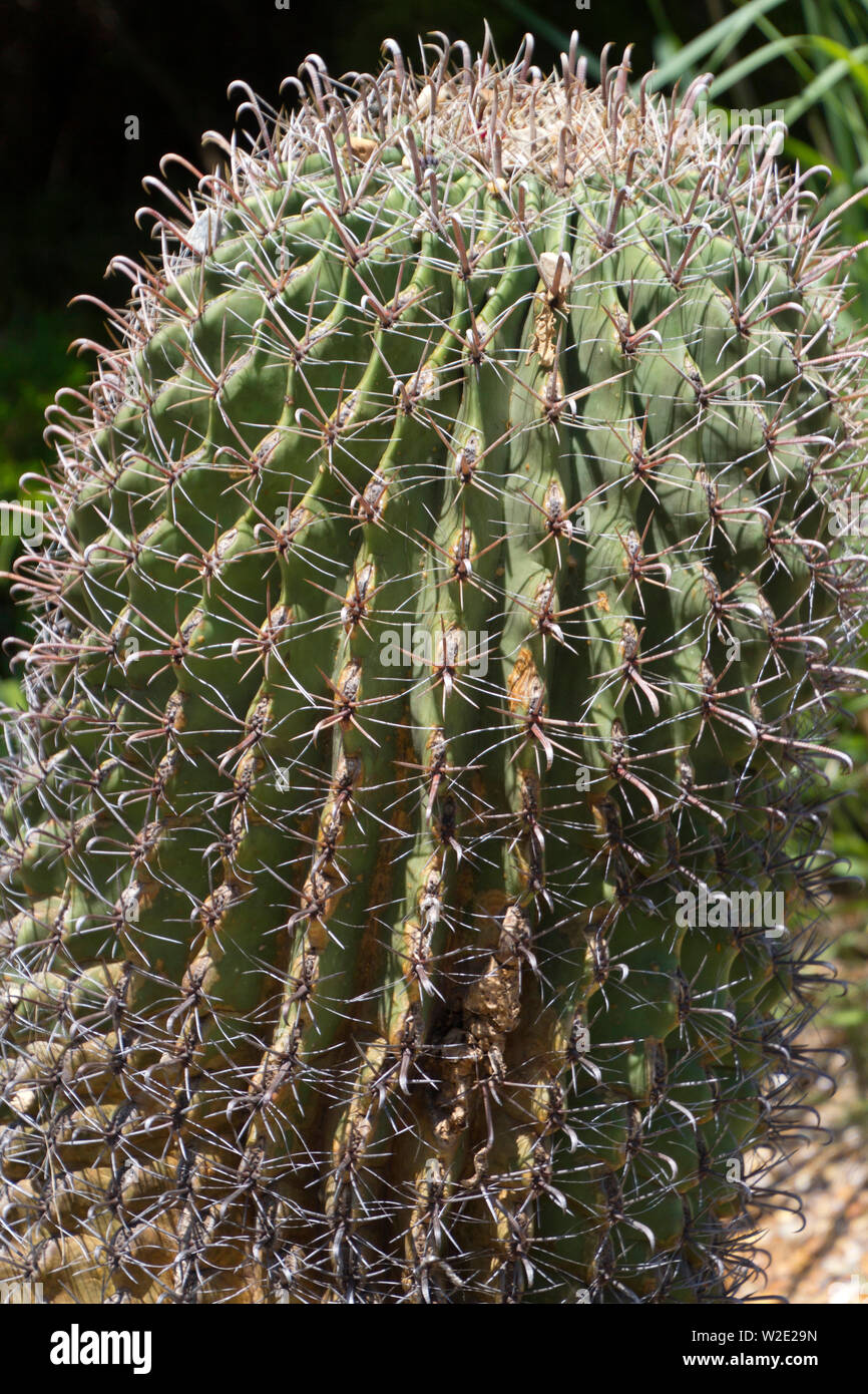 Daunting hi-res stock photography and images - Alamy