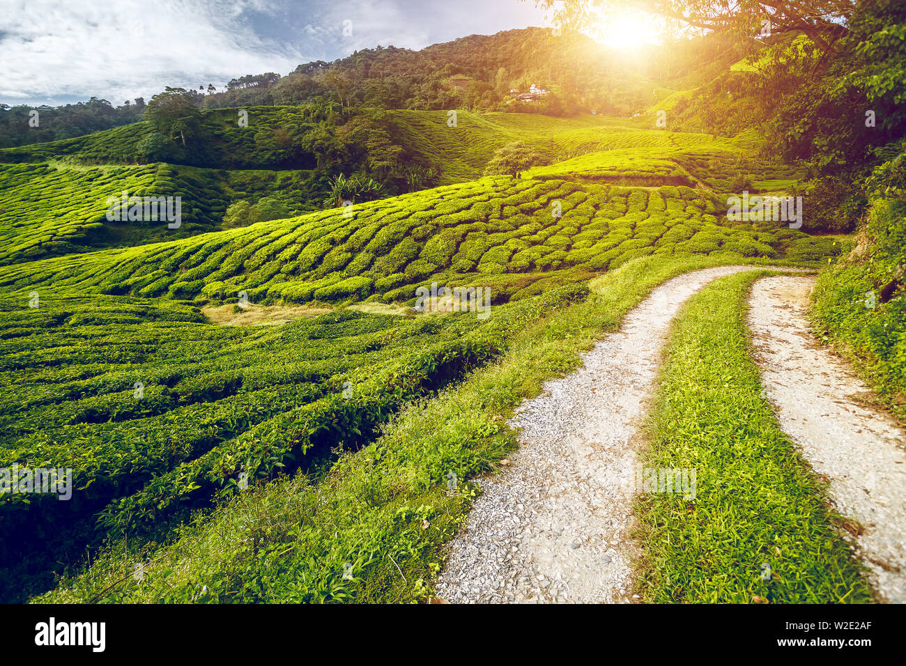 Most beautiful country in asia hi-res stock photography and images - Alamy