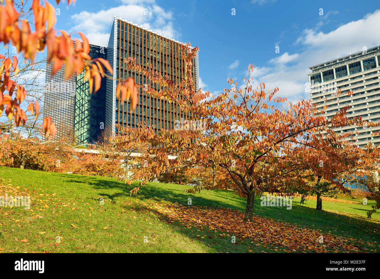 Colorful city park scene in the fall with orange and yellow foliage ...