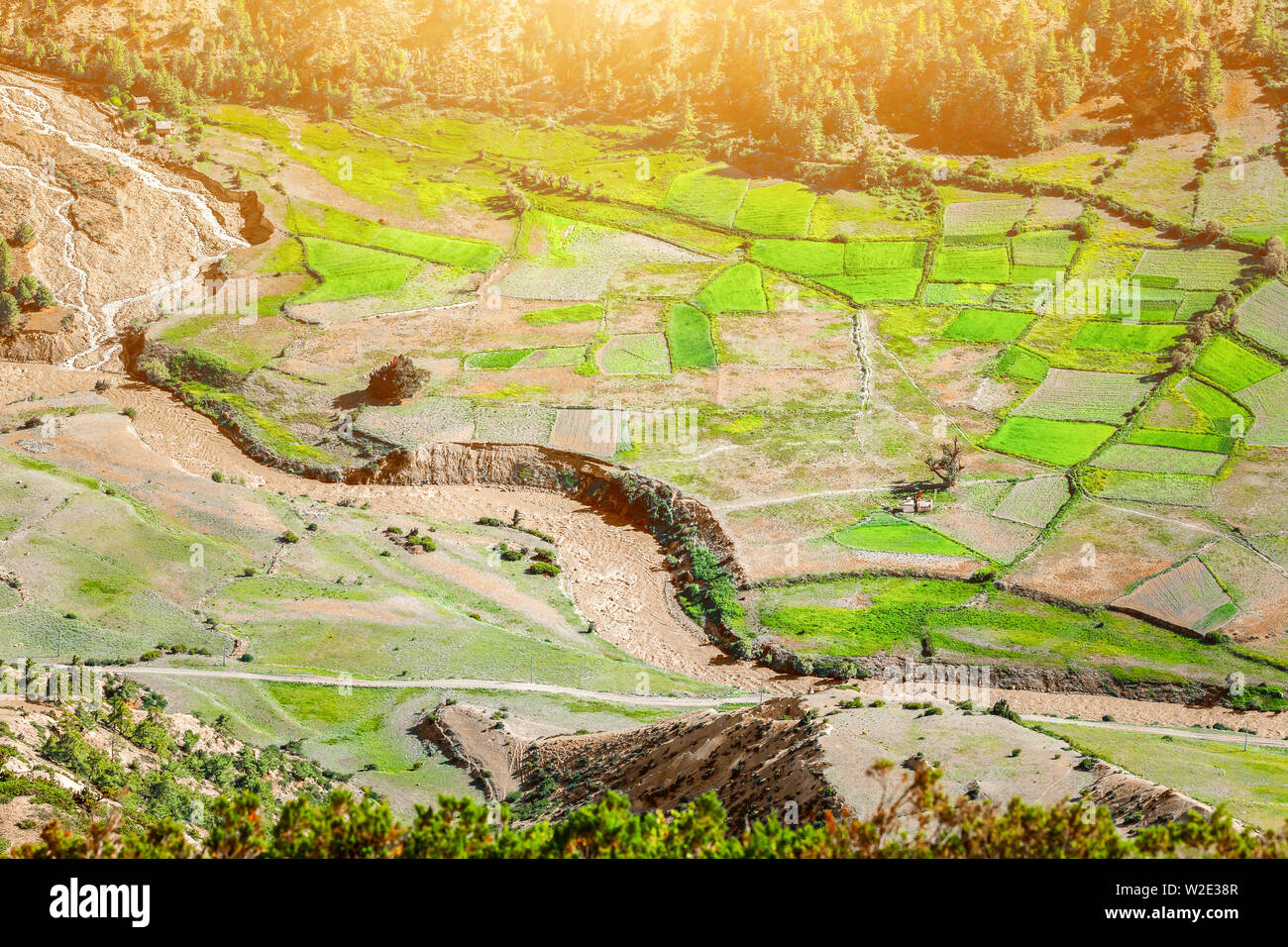 Aerial view on Green paddy fields in Nepal, Annapurna trekking Stock ...