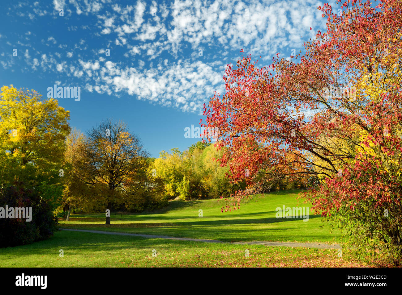 Colorful city park scene in the fall with orange and yellow foliage ...
