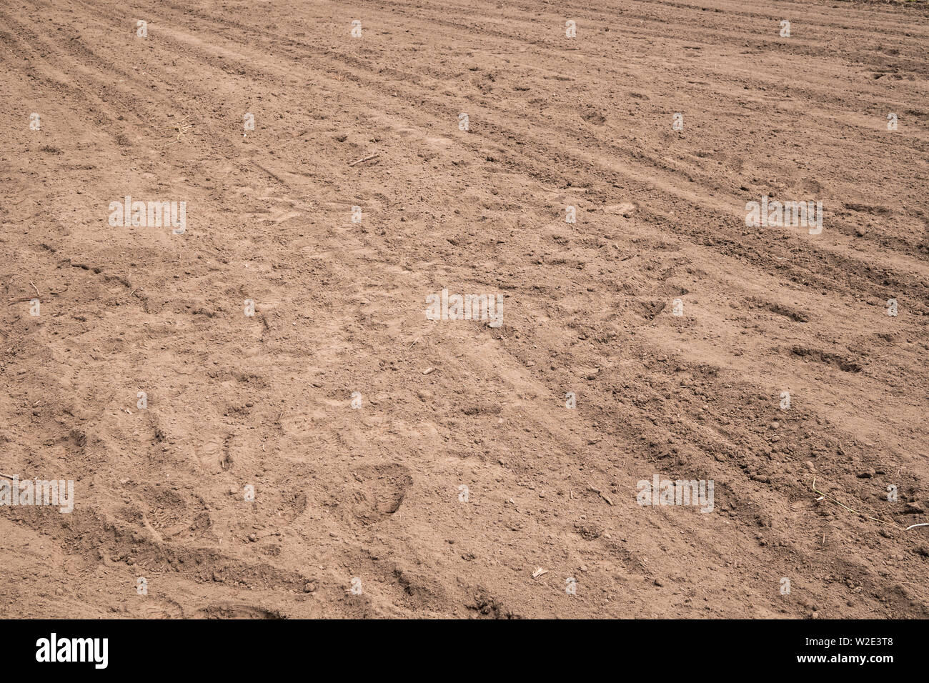 Summer earth hi-res stock photography and images - Alamy