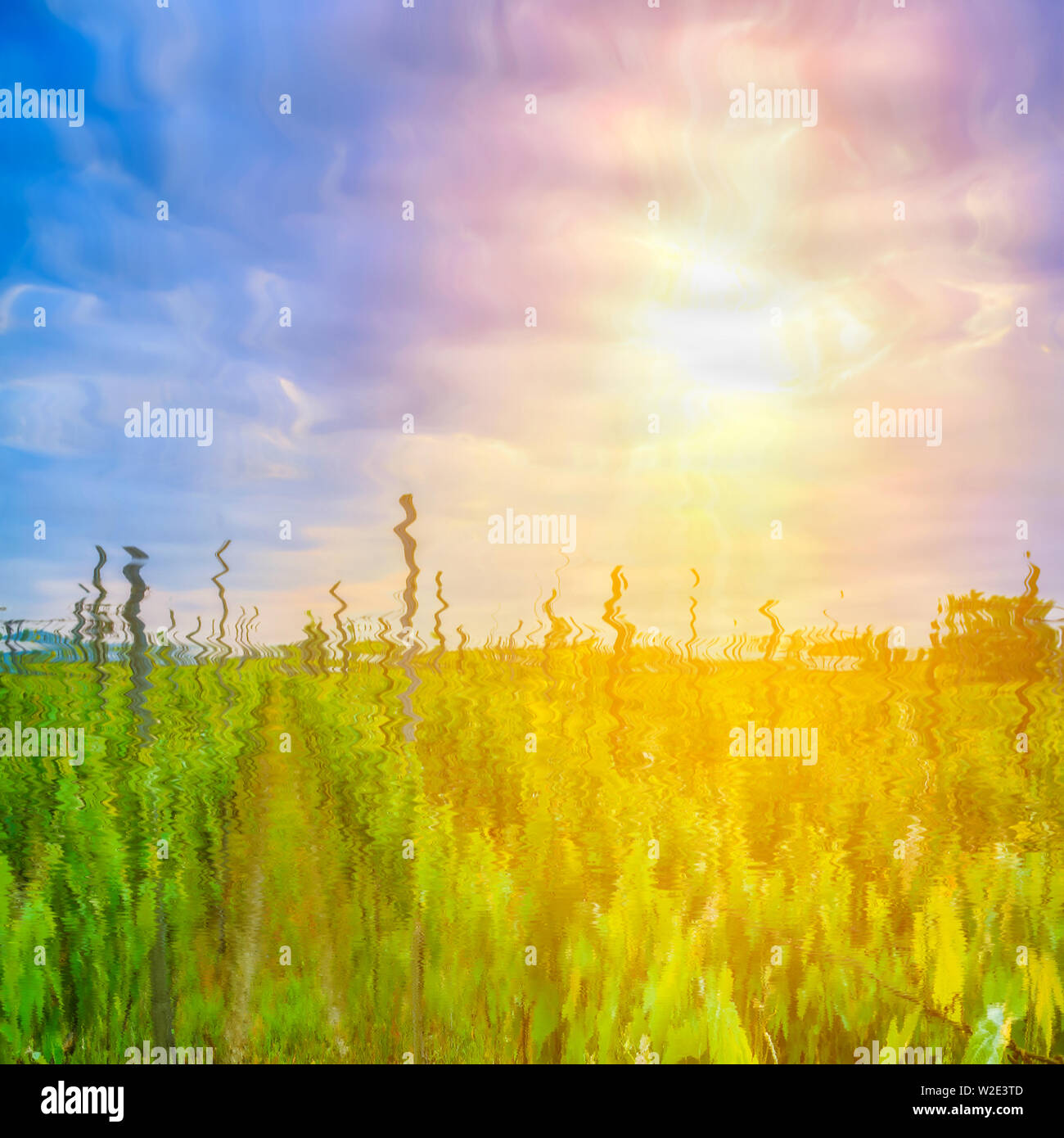 green natural landscape with sky reflected in water Stock Photo - Alamy