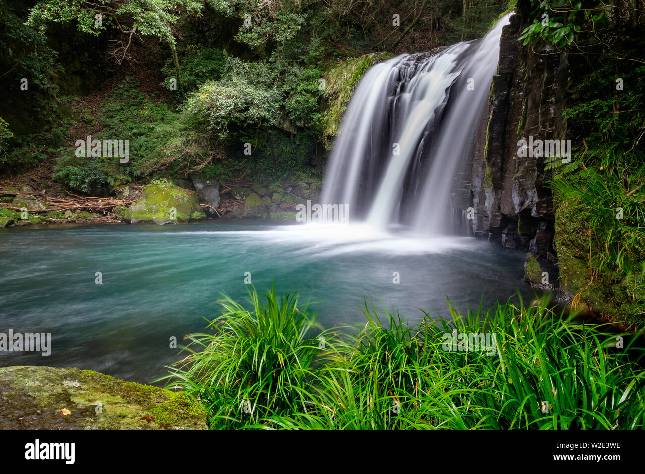 Waterfall in green jungle surrounded by plants, Izu peninsula, Japan ...