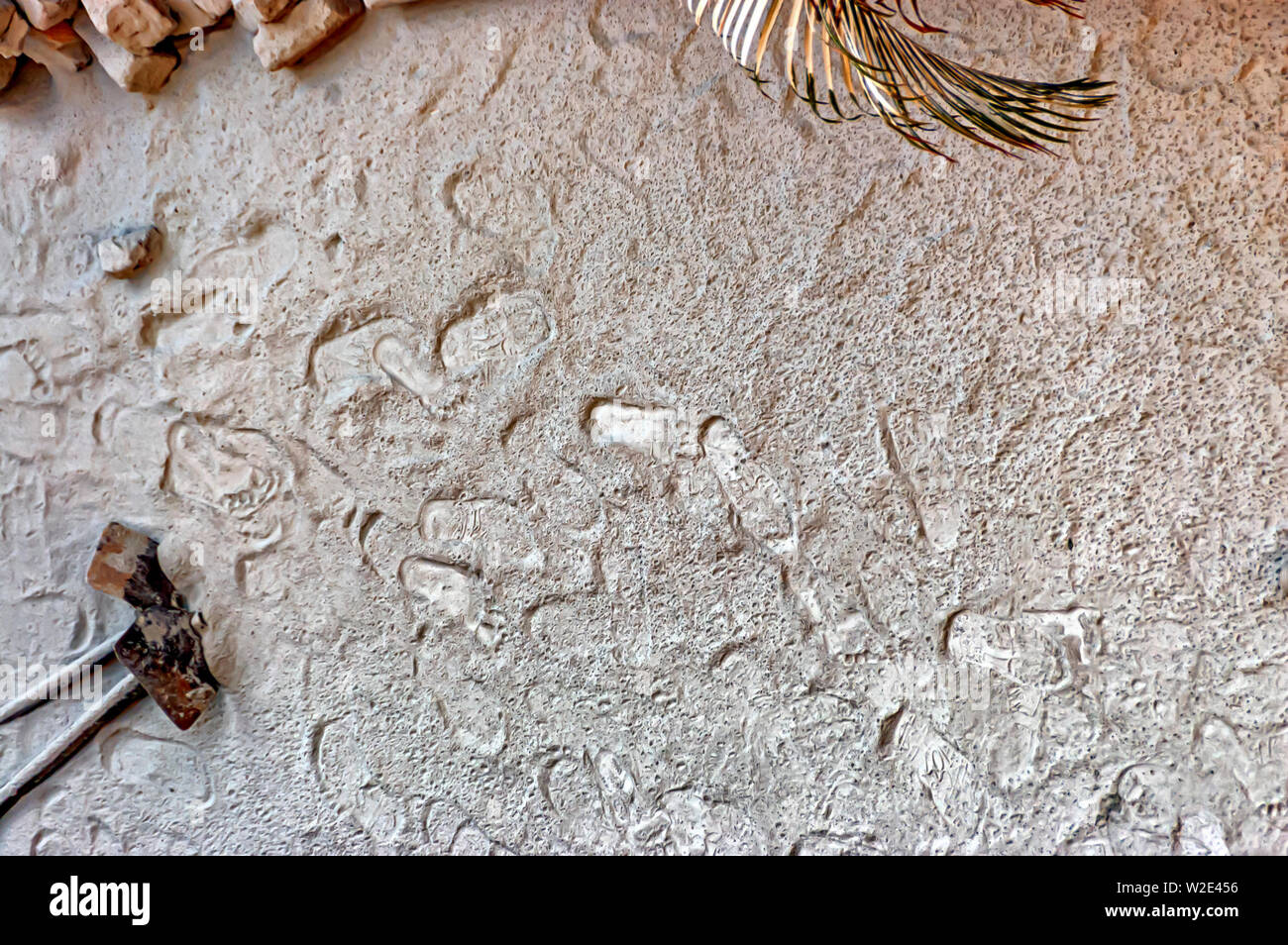 Two garden hoes lying in a layer of dust marked with numerous ...