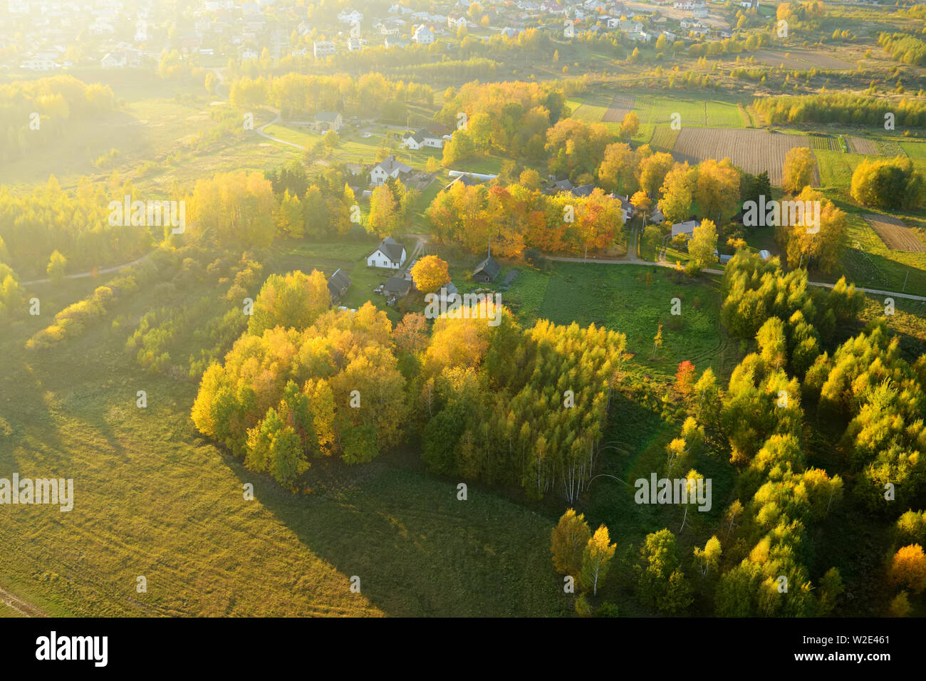 Aerial top down view of autumn forest with green and yellow trees ...