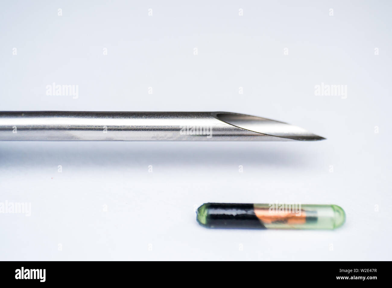 Microchip Syringe High Resolution Stock Photography and Images - Alamy