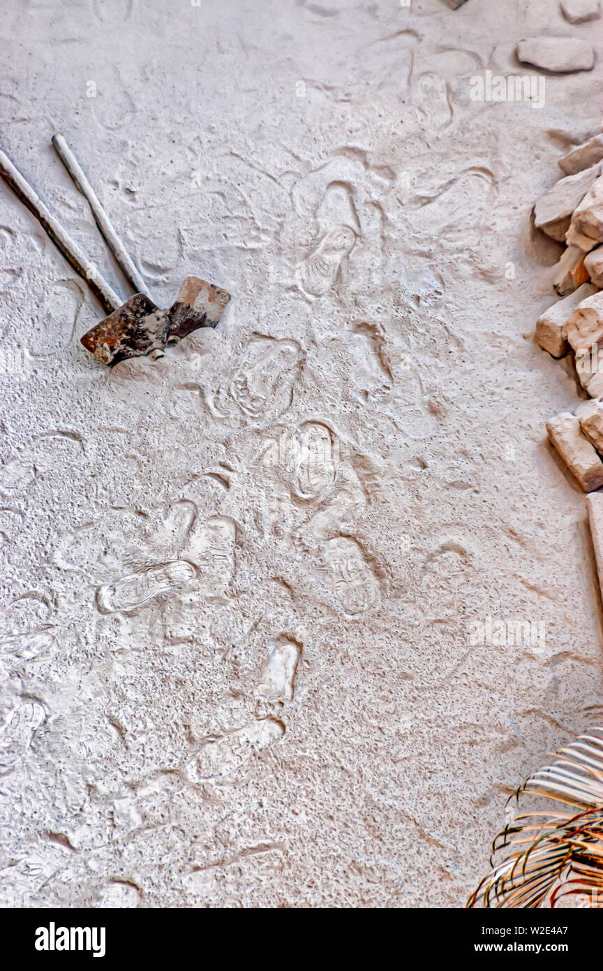 Two garden hoes lying in a layer of fine dust marked with numerous ...