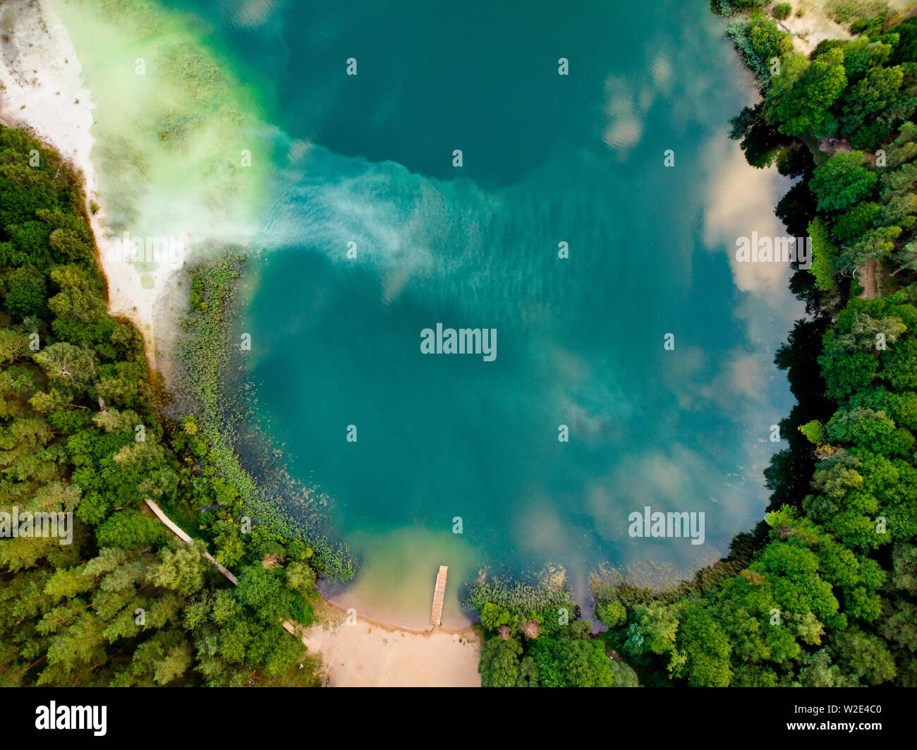 Pine Trees Birds Eye View High Resolution Stock Photography and Images ...