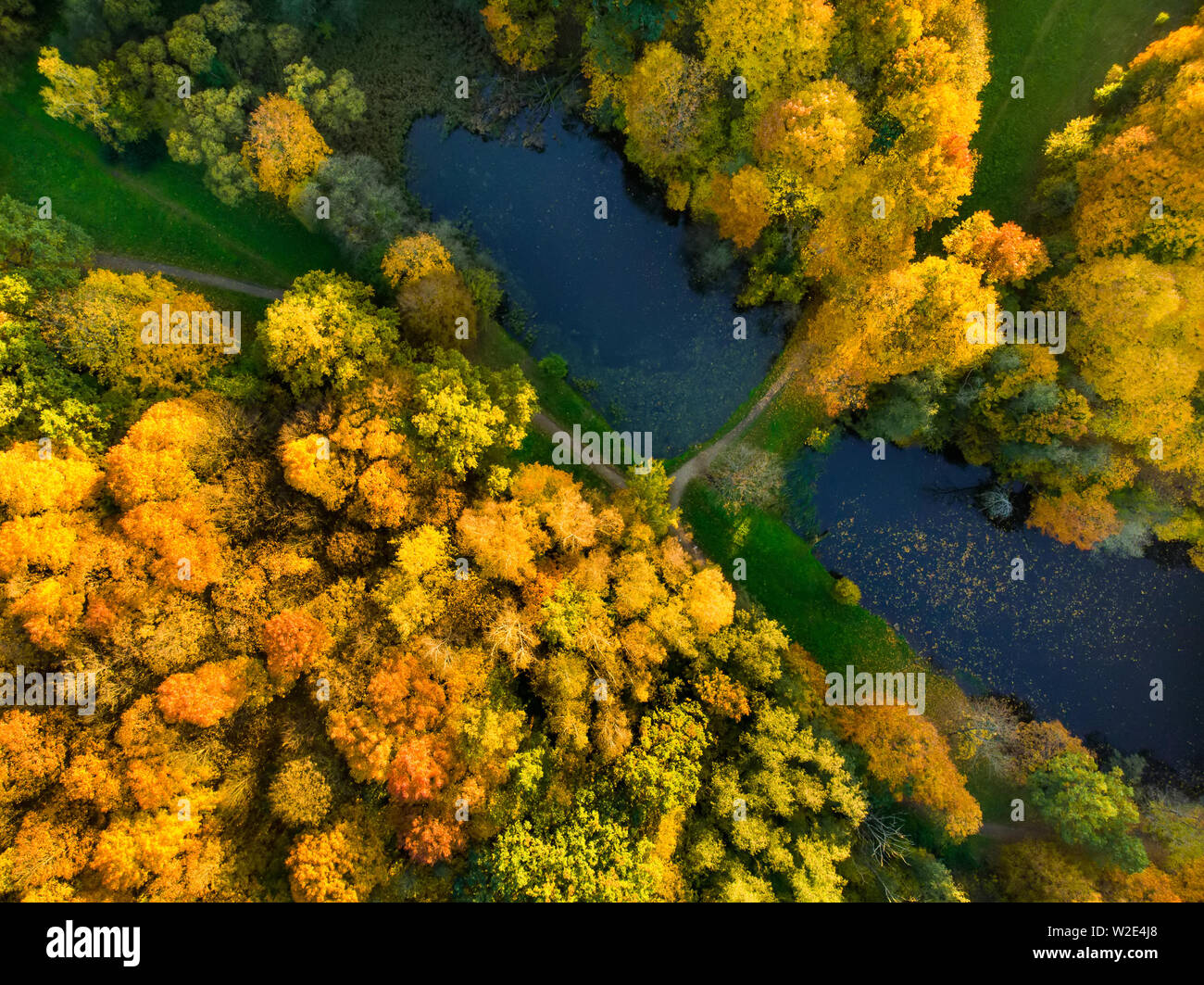 Birds eye view of autumn forest and a small lake. Aerial colorful ...