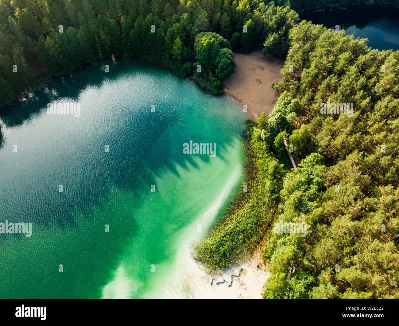 Pine Trees Birds Eye View High Resolution Stock Photography and Images ...