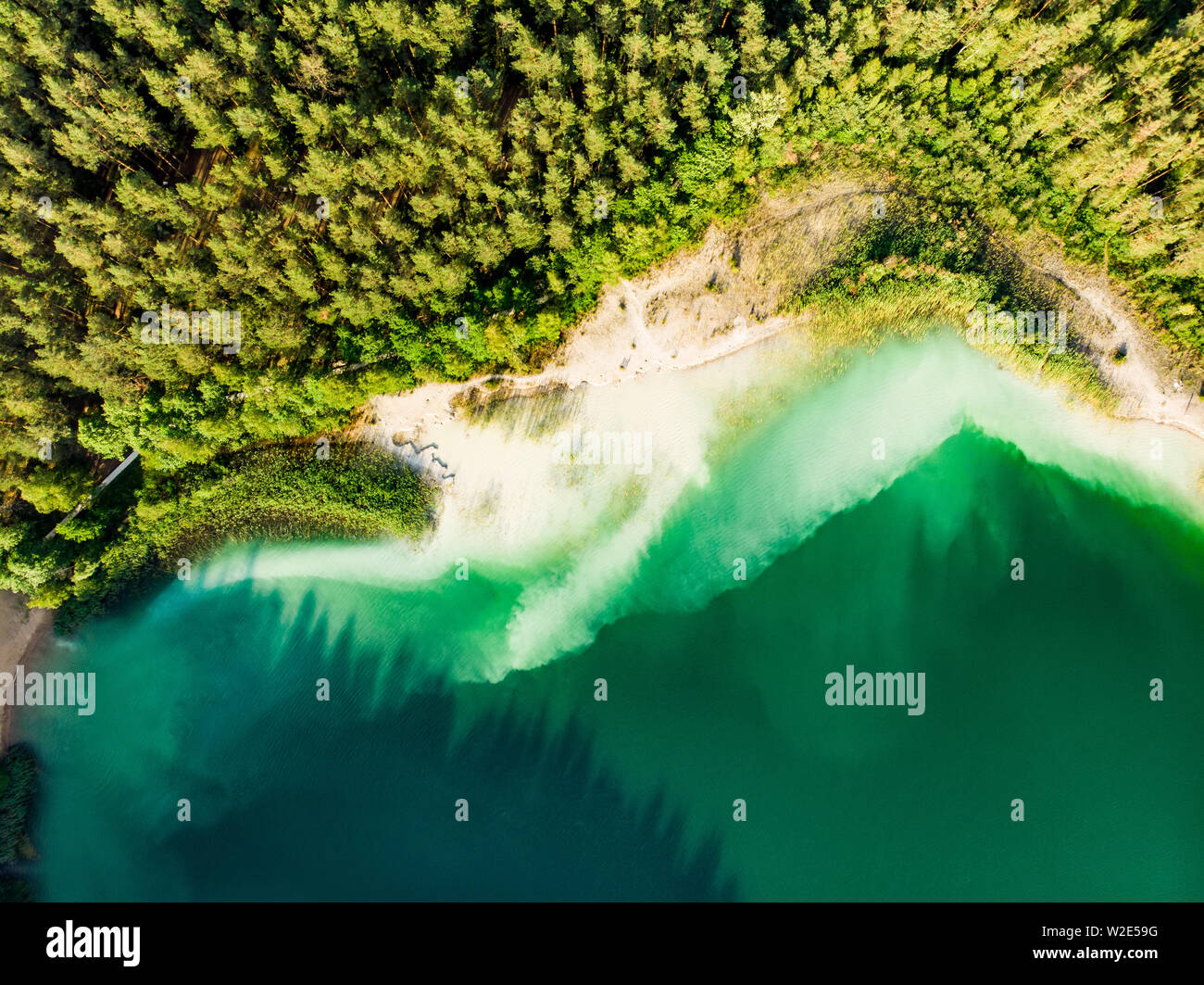 Pine Trees Birds Eye View High Resolution Stock Photography and Images ...