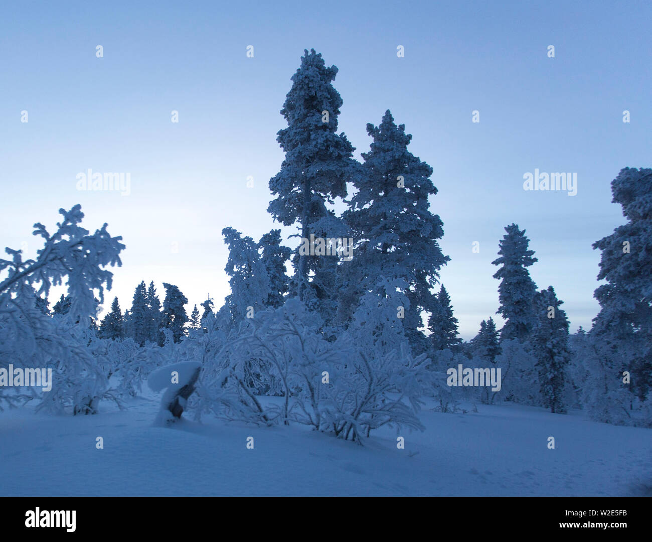 The lapland frozen landscape during winter, Finland Stock Photo - Alamy
