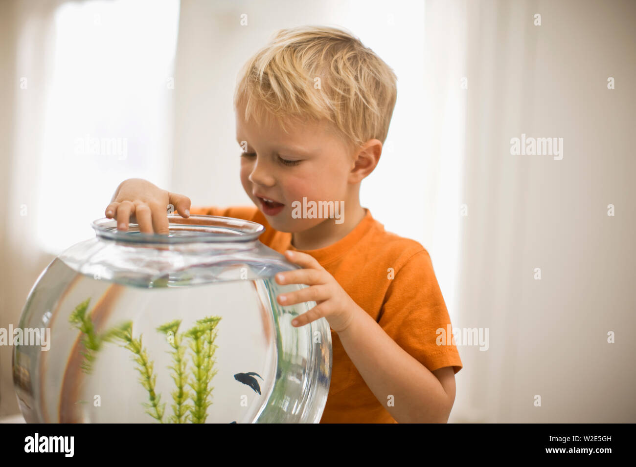 Boy fish bowl hi-res stock photography and images - Alamy