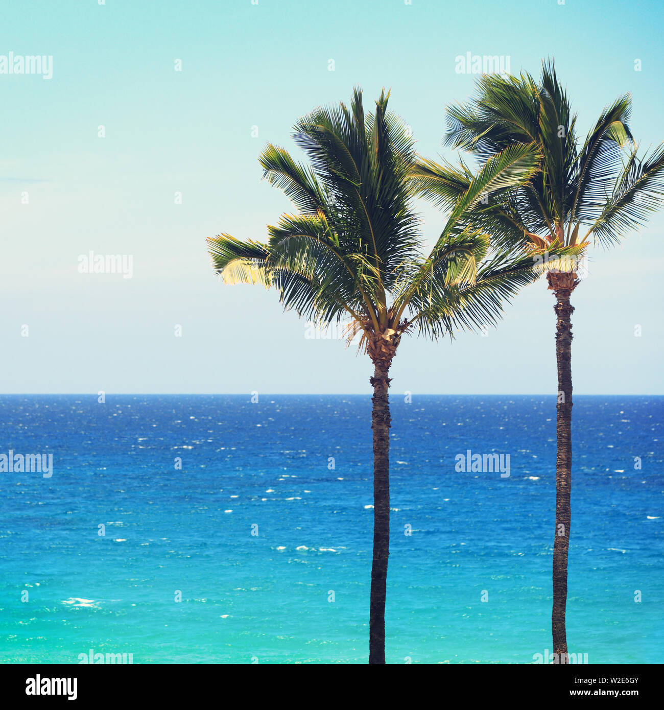 Blue beach ocean palm trees background. Tropical travel concept with ...