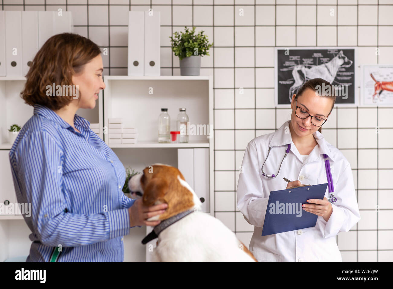Reception at the vet. The woman is the owner and her dog is in the ...