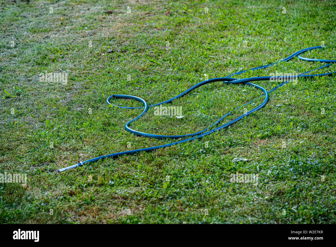 water pipe snake in the country house garden in hot summer for watering ...
