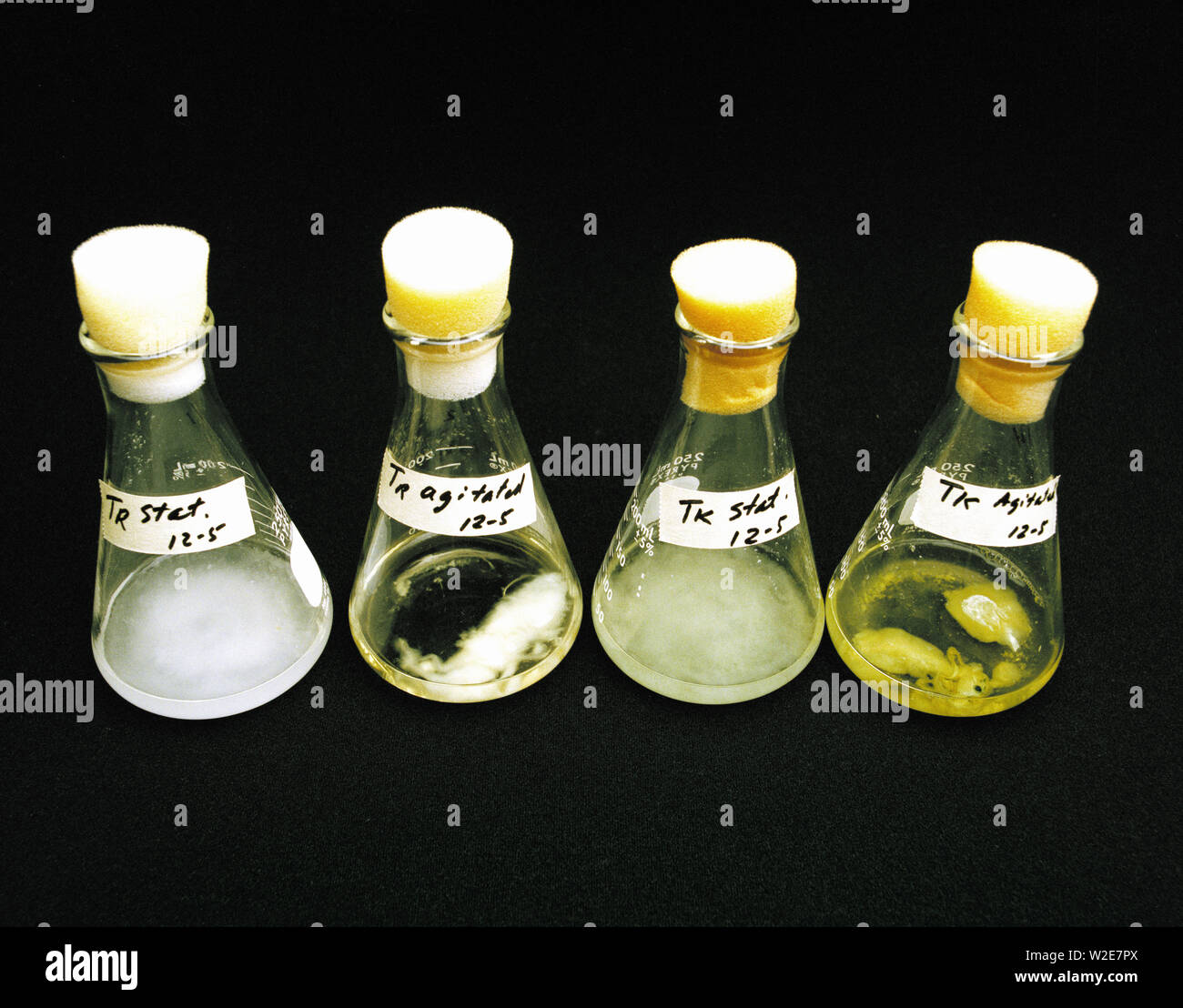 Bottles of cellulose hi-res stock photography and images - Alamy