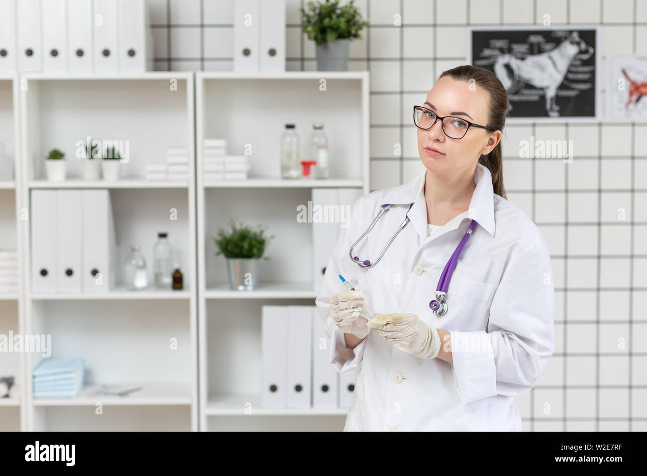 Vet injection hi-res stock photography and images - Alamy