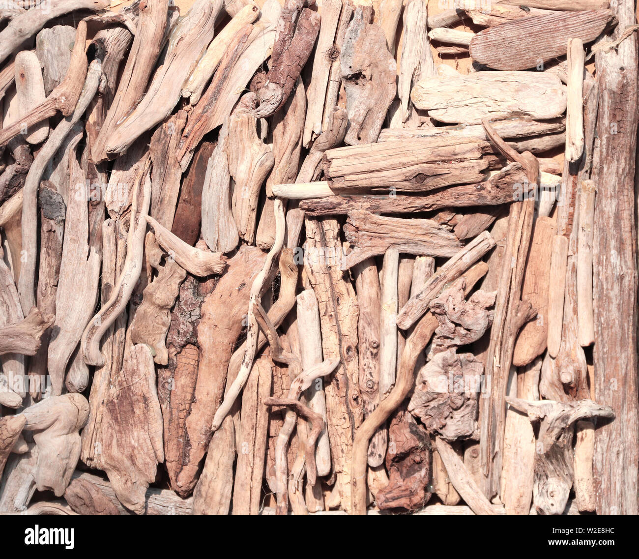 Decorative mural with old tree branches Stock Photo - Alamy