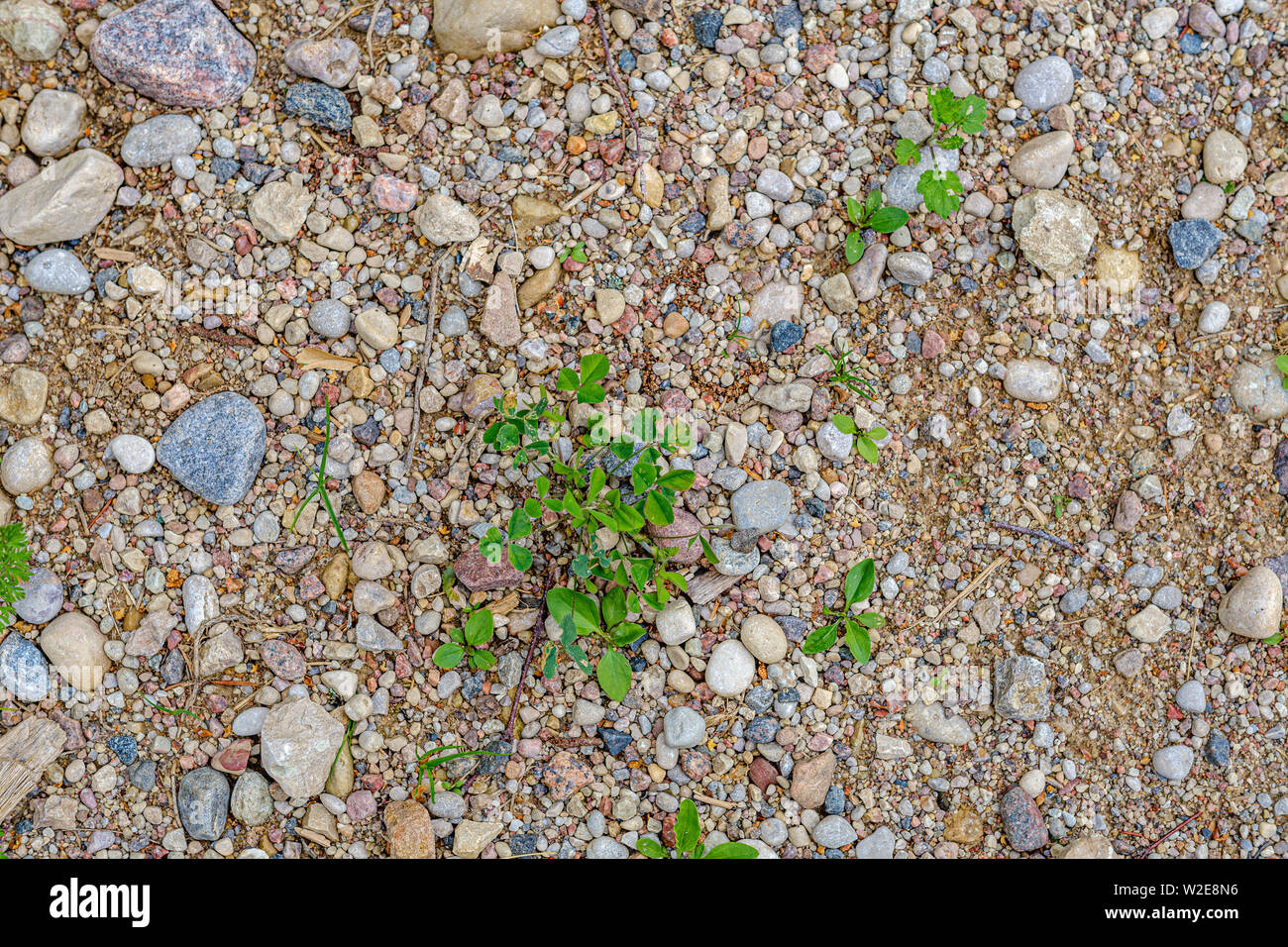 gravel dirt road texture with sand and pebbles in summer Stock Photo ...