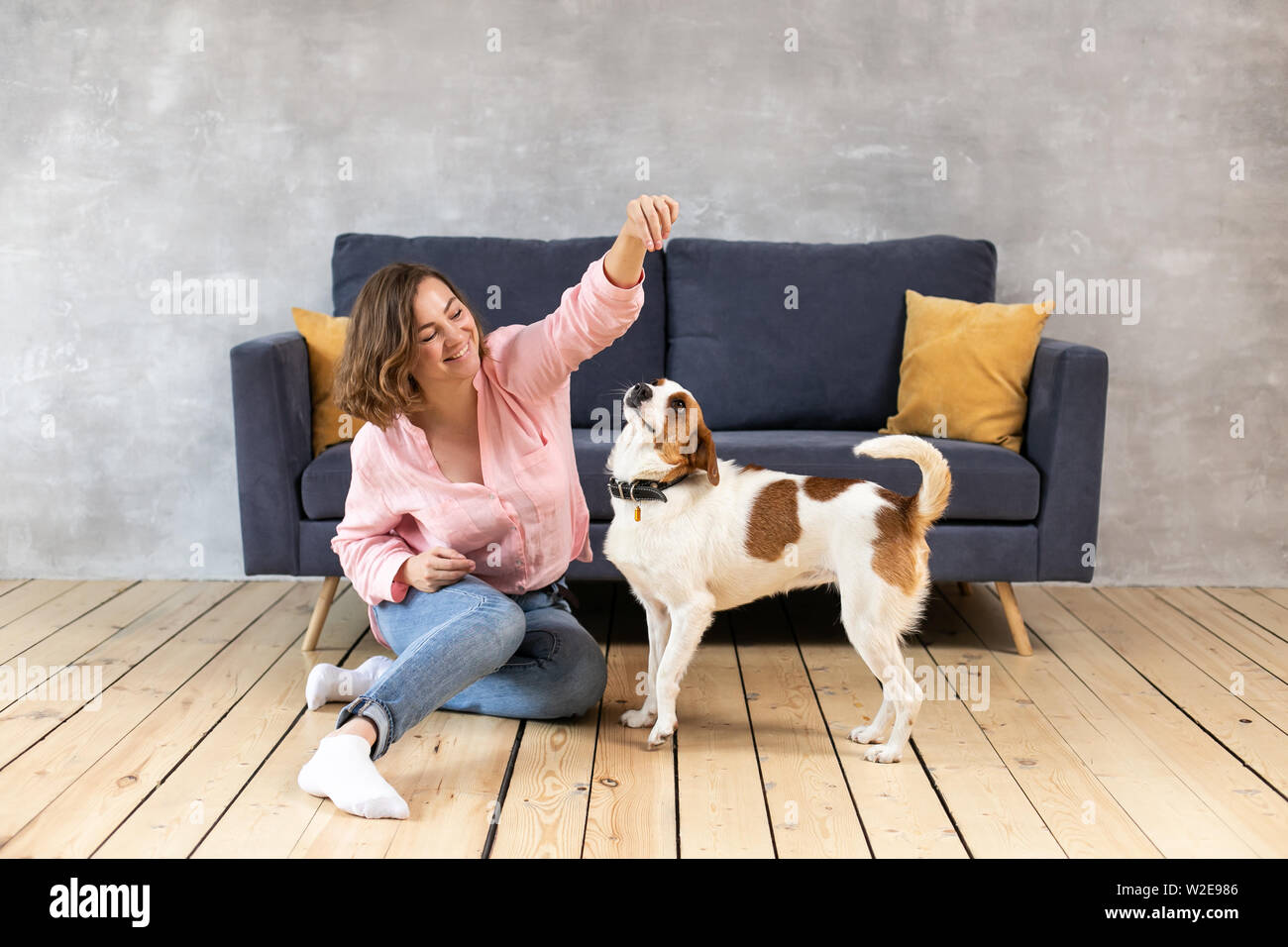 The owner and his dog play at home Stock Photo - Alamy