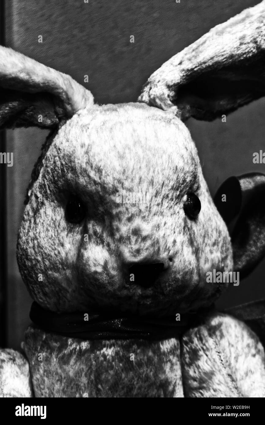 Old hare Black and White Stock Photos & Images - Alamy