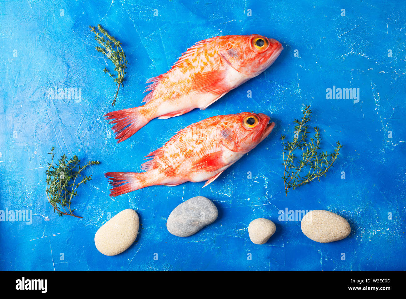 Red sea fish farm hi-res stock photography and images - Alamy
