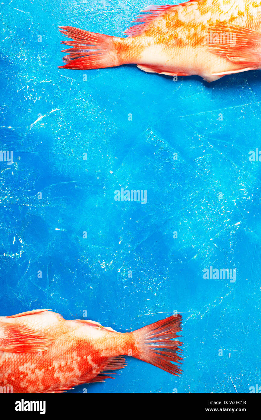 Red sea bass hi-res stock photography and images - Alamy