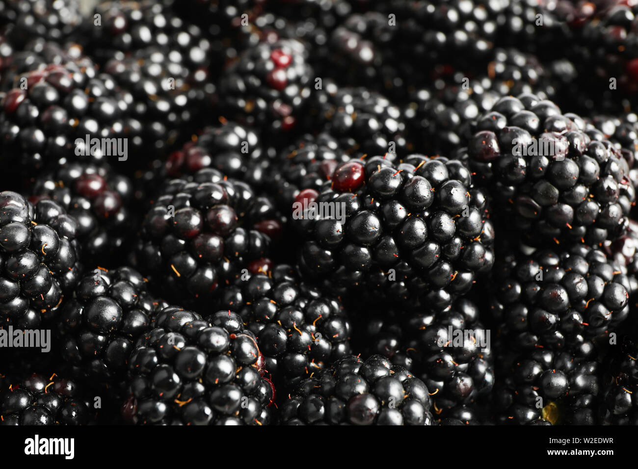Fresh blackberry on whole background, close up Stock Photo - Alamy